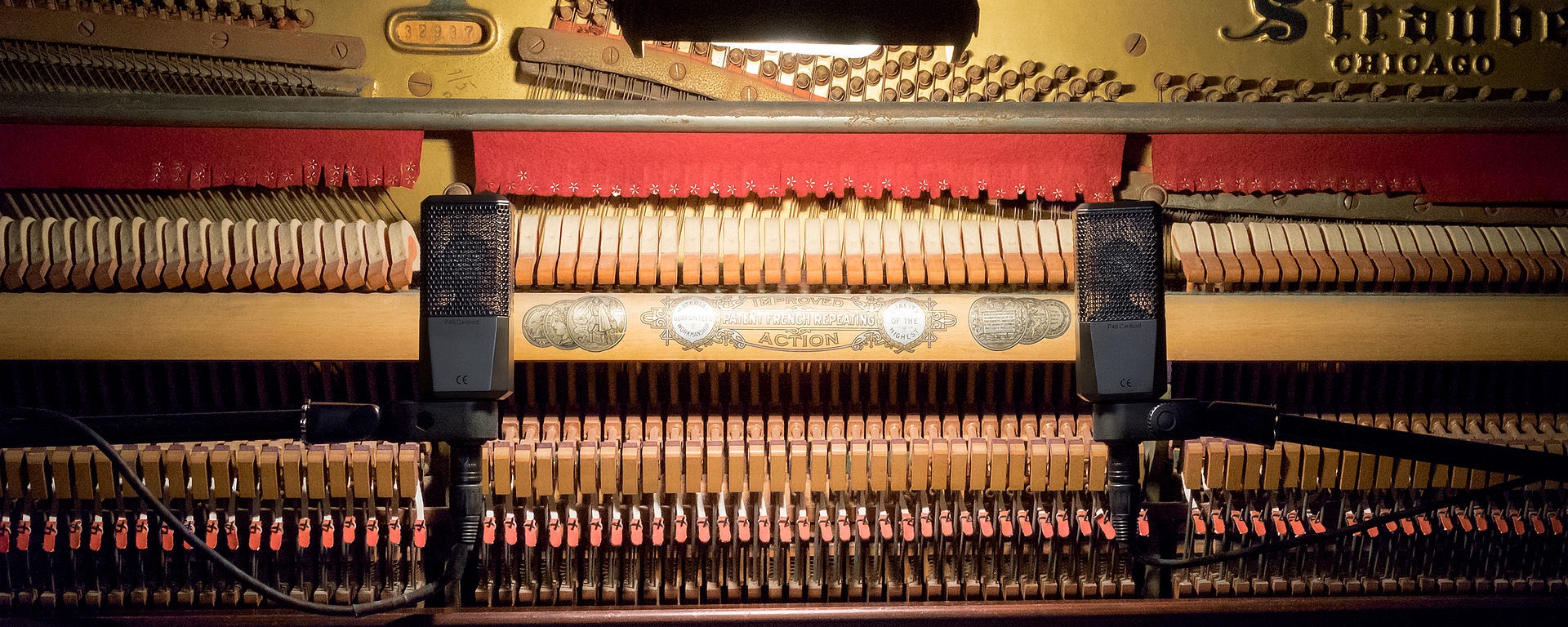 LCT 240 PRO | Lewitt Audio